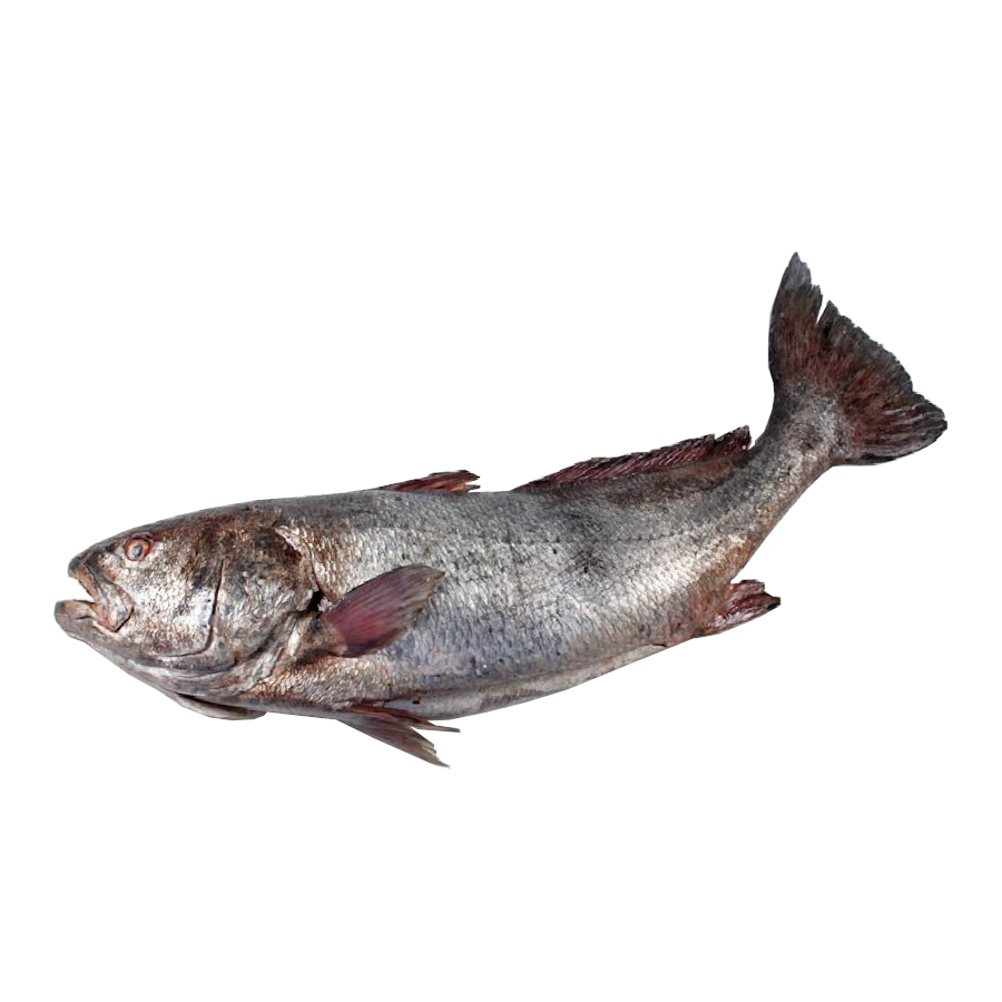 Our Products – Real Food EST